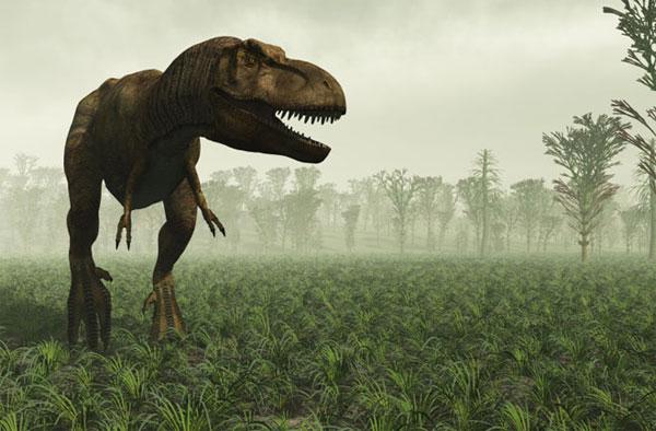 Scientists explain how T Rex soft tissue remained preserved for 68 ...