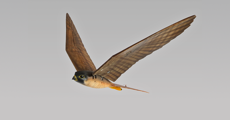 This robot bird of prey is designed to scare real birds - SlashGear