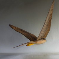 This robot bird of prey is designed to scare real birds - SlashGear