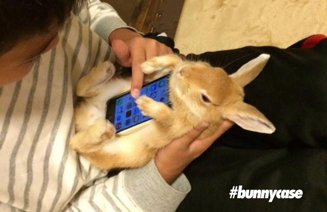 Real Bunny Smartphone Case: behold, the newest tech trend - SlashGear