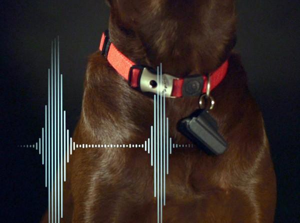 Bluewire records phone conversations with Bluetooth - SlashGear