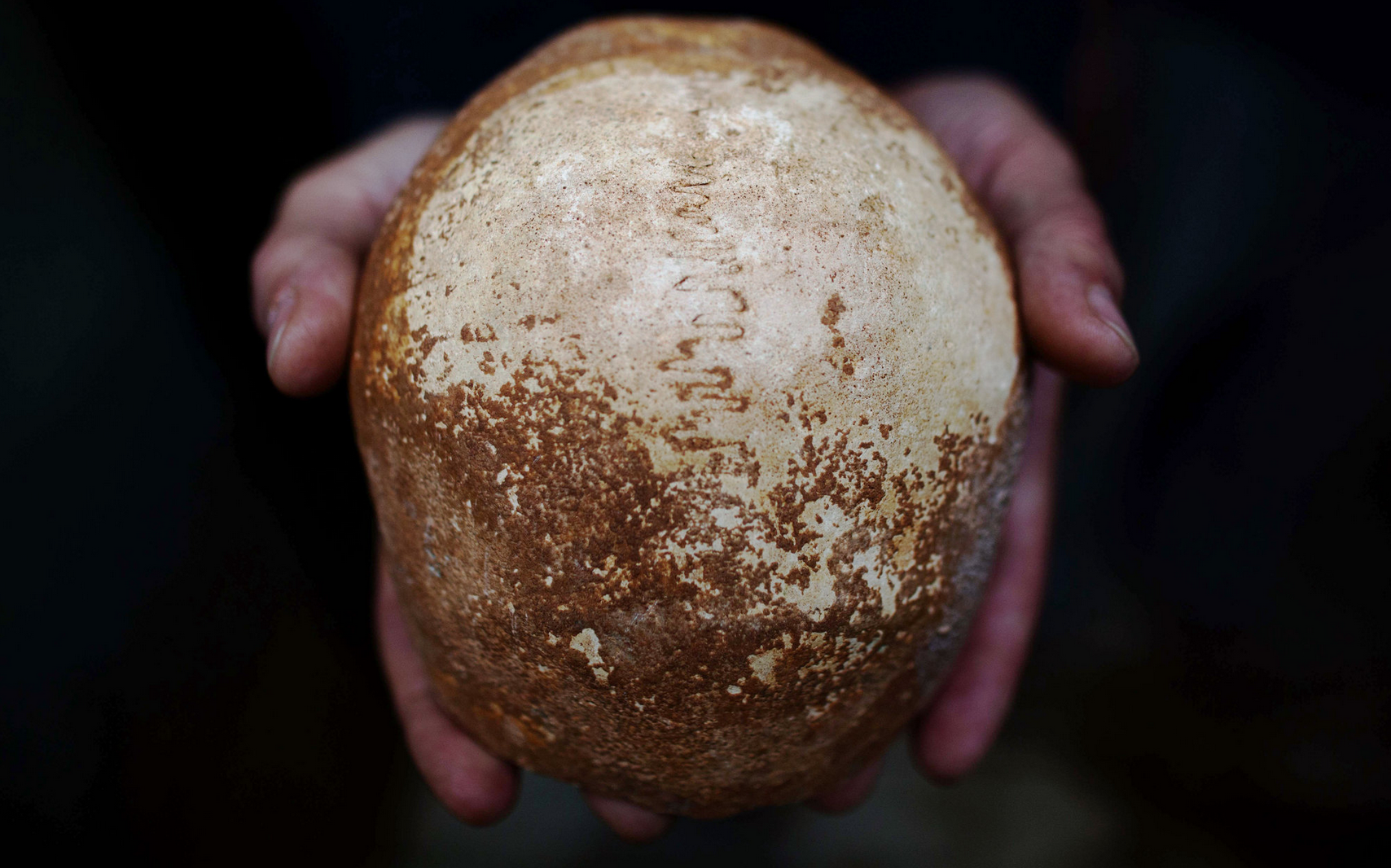Skull shows earliest Humans and Neanderthals cross-breed - SlashGear