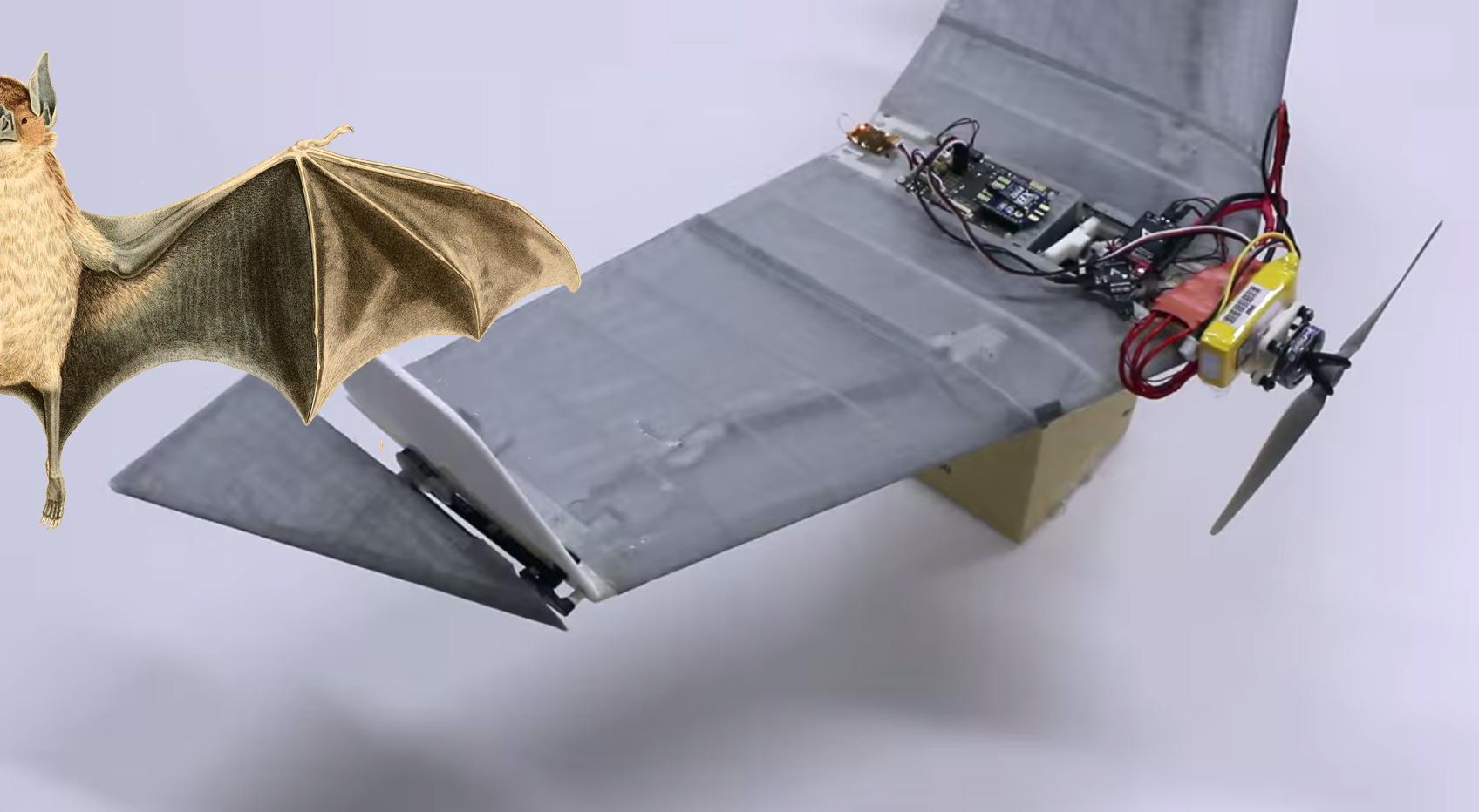 DALER: vampire-inspired robot can fly and walk - SlashGear