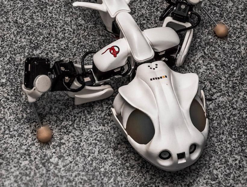 Pleurobot is a robotic salamander skeleton - SlashGear