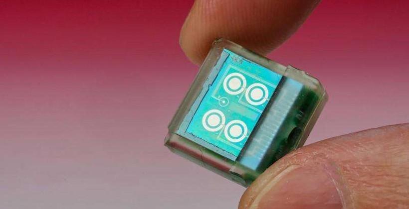 Implantable biosensor chip can monitor glucose and drugs in real-time ...