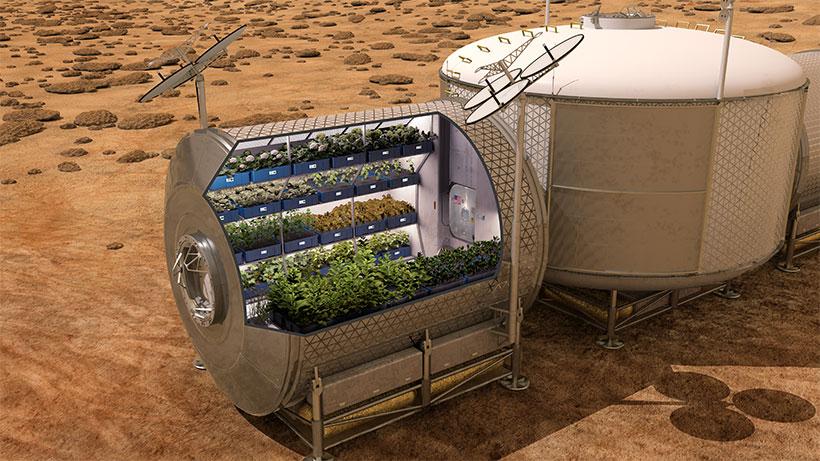 ISS astronauts sample veggies grown in space - SlashGear
