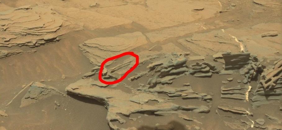 Curiosity's latest Mars discovery: a floating 'spoon' - SlashGear