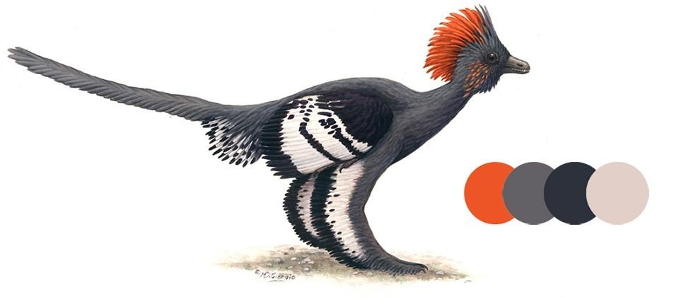 Accurate dinosaur color patterns detected (again) - SlashGear
