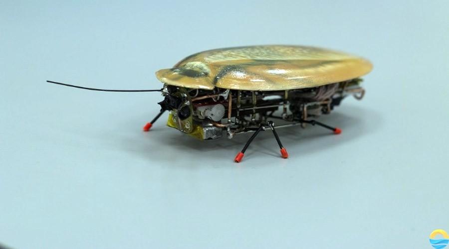 Russian researchers make realistic robot cockroaches - SlashGear