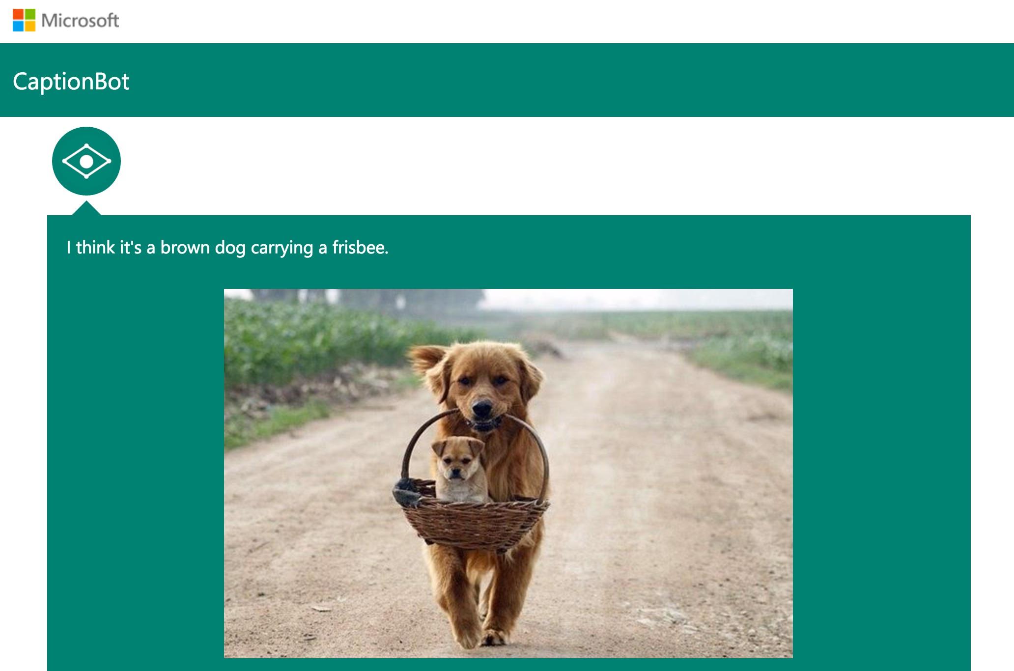 Microsoft's CaptionBot AI wants to understand your photos - SlashGear