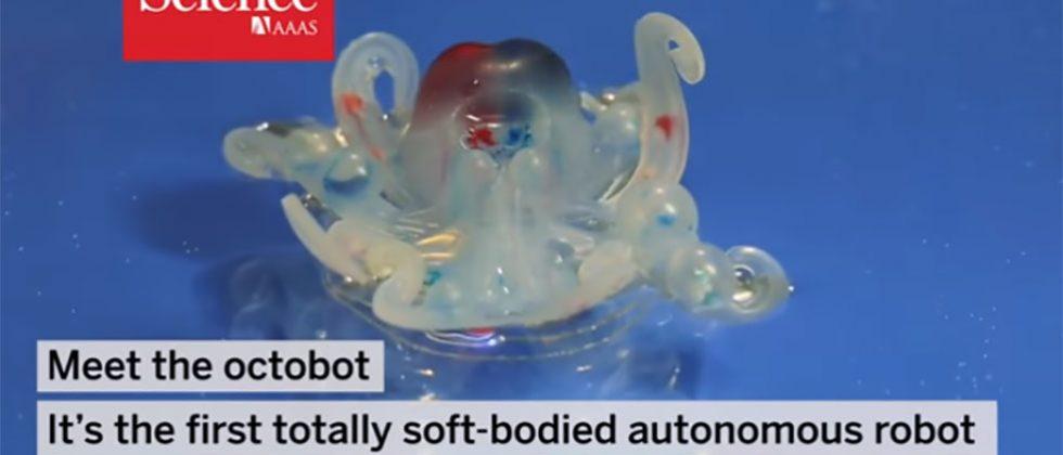 Octobot is a soft-bodied autonomous robot that can fit just about ...