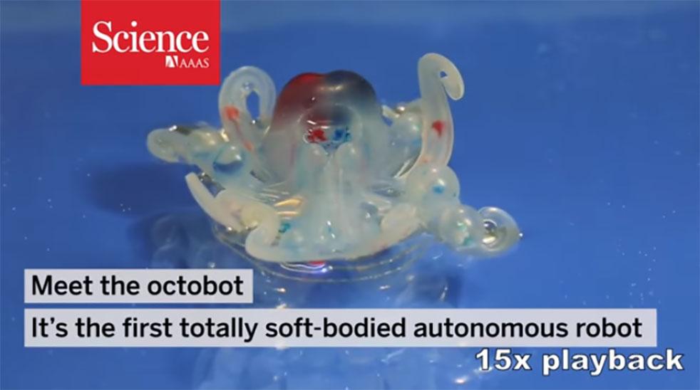 Octobot is a soft-bodied autonomous robot that can fit just about ...