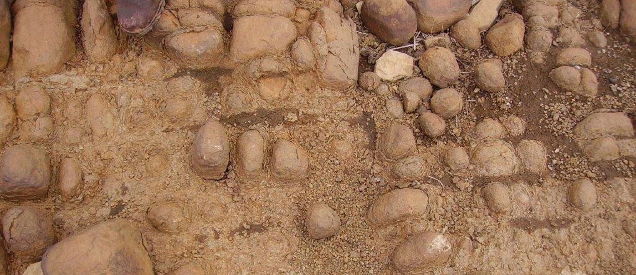 Researchers suggest ancient round 'tools' were actually weapons - SlashGear