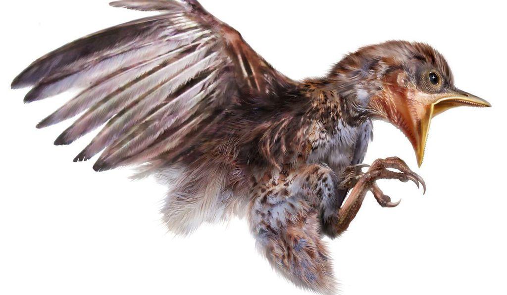 This baby bird has been trapped in amber for 99 million years - SlashGear