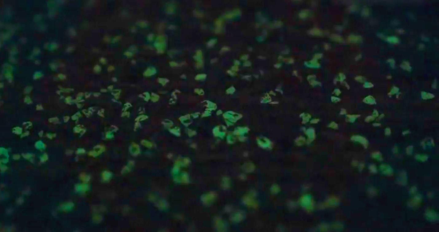 Glow in the dark walking trail opens to the public in Singapore - SlashGear