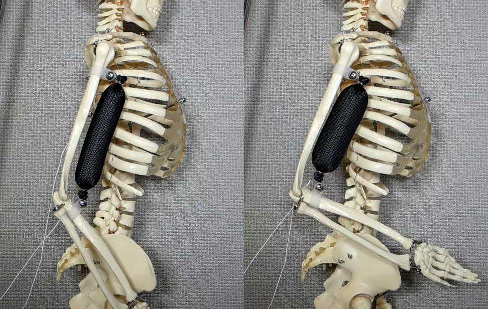 Columbia Engineering researchers make soft robotics breakthrough with ...