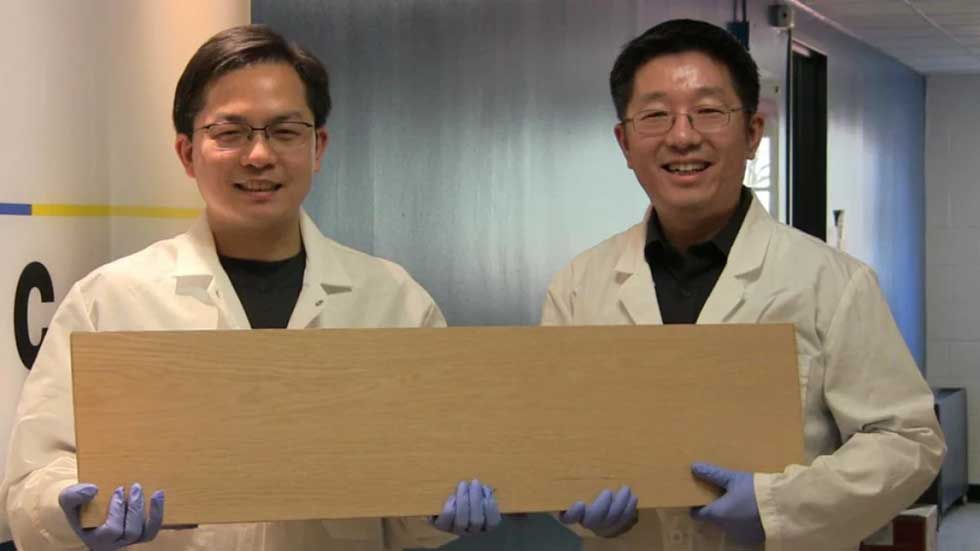 Scientists create "super wood" offering strength and toughness of steel ...