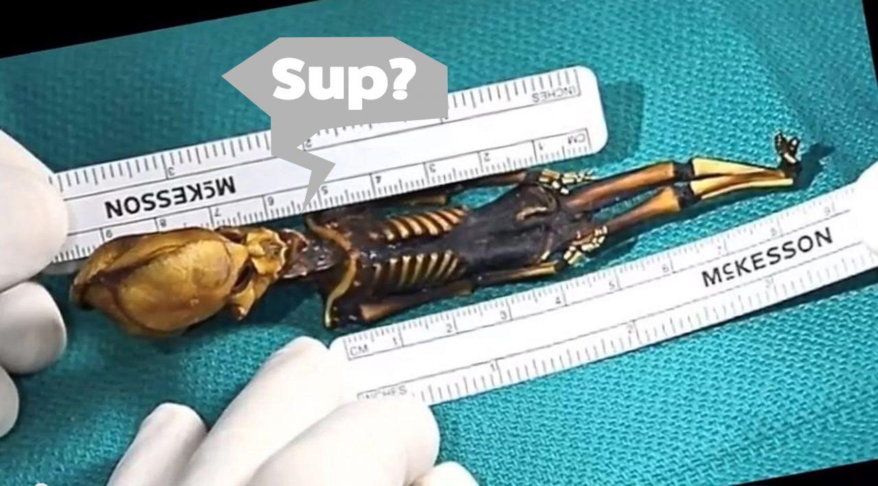 Atacama mummy wasn't an alien, it was a mutated human - SlashGear