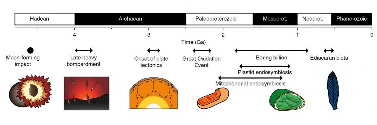 LUCA: Study says life came not long after first planet impact - SlashGear