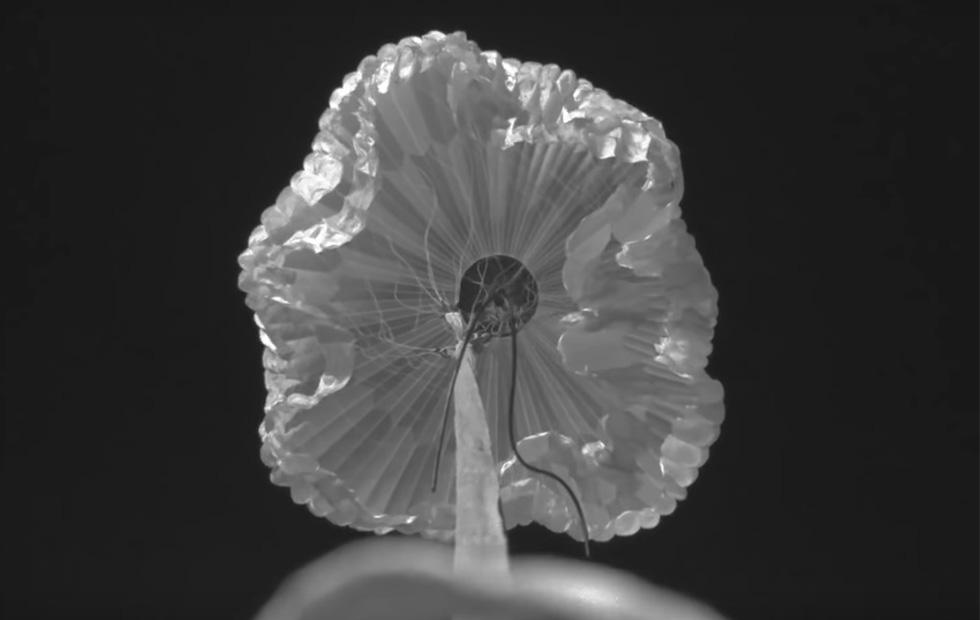 NASA parachute world record paves way for Mars 2020 rover launch ...