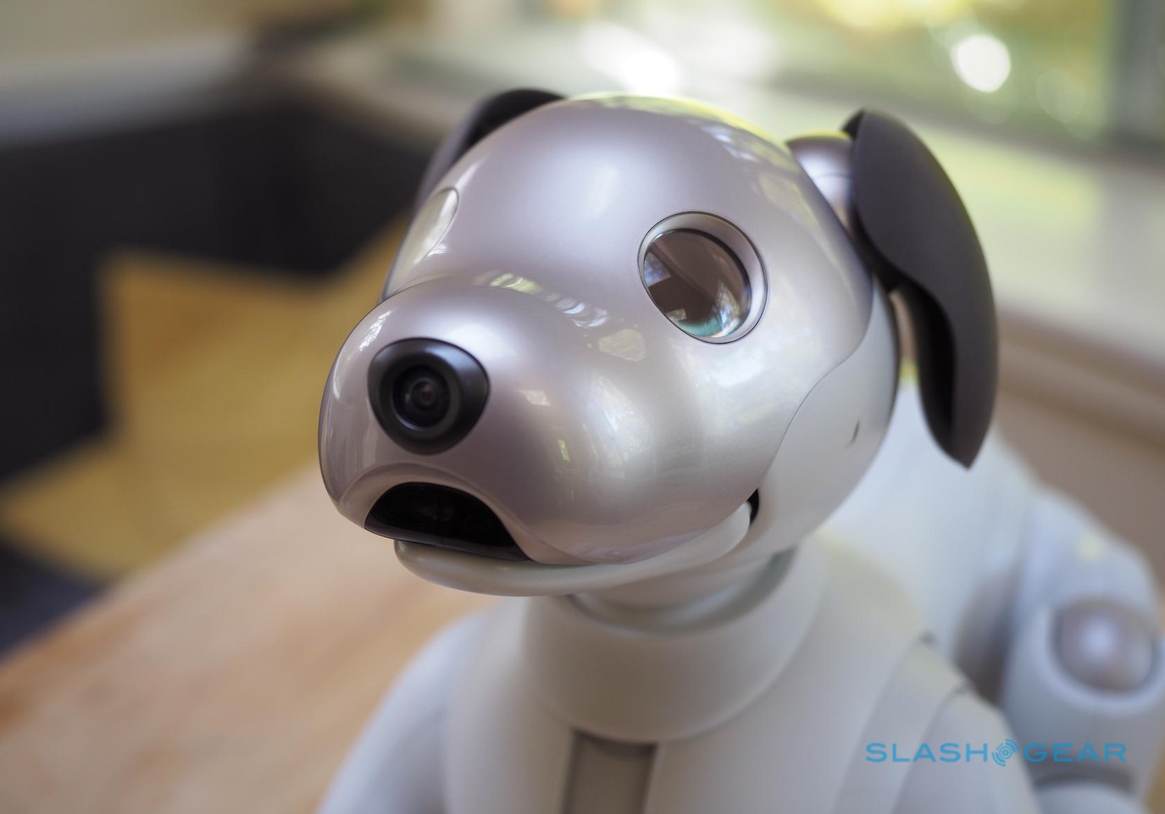 Sony aibo Review (2018): Robot pup charm - SlashGear Sony aibo Review (2018): Robot pup charm - SlashGear