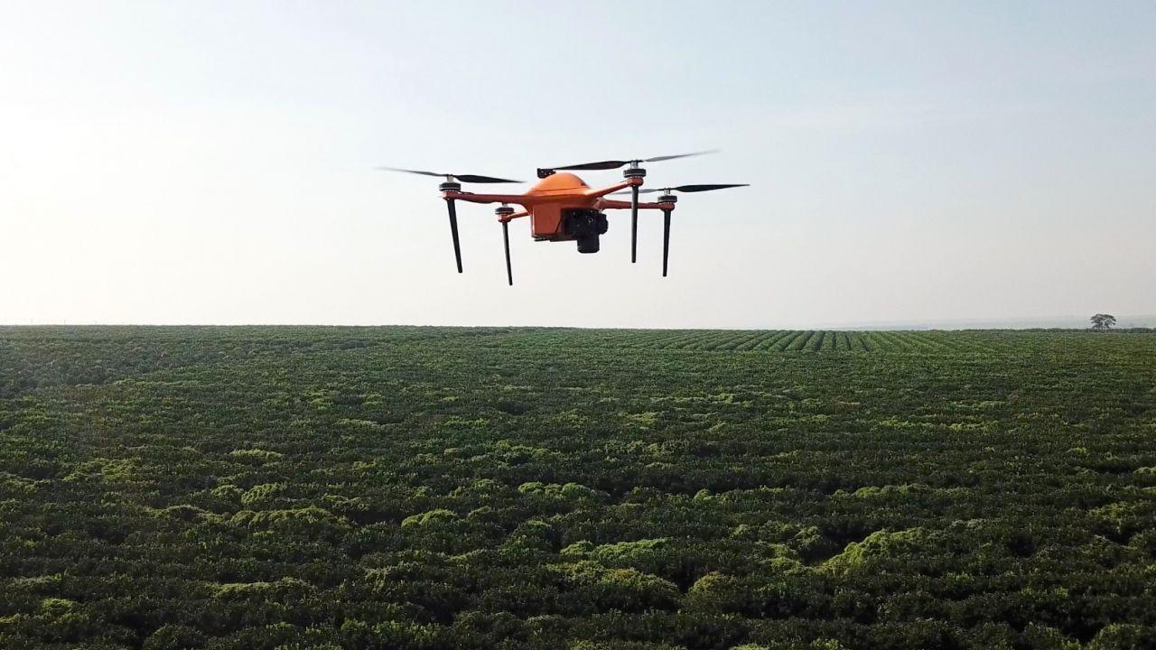 AI and drones give farmers an edge as SeeTree takes off - SlashGear