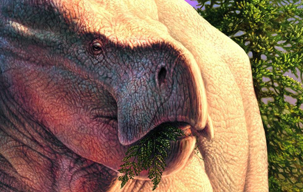 Elephant-sized proto-mammal discovered in Poland - SlashGear