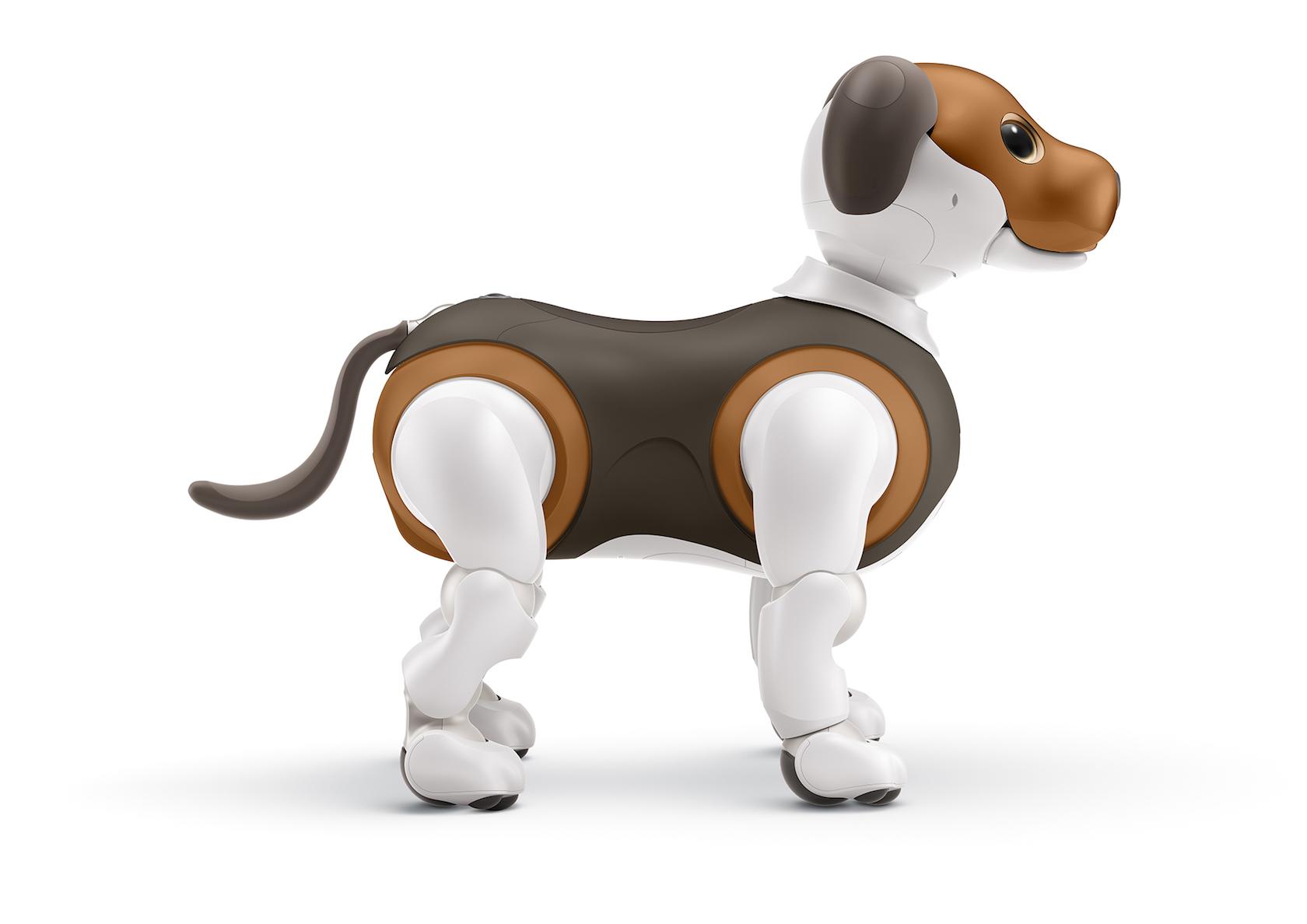Sony Aibo Chocolate Edition Arrives As Robot Pup Turns Guard Dog - SlashGear