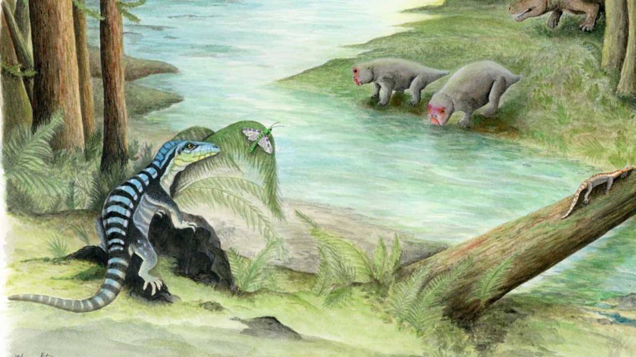 Newly discovered "Antarctic King" was a dinosaur relative and lived on ...