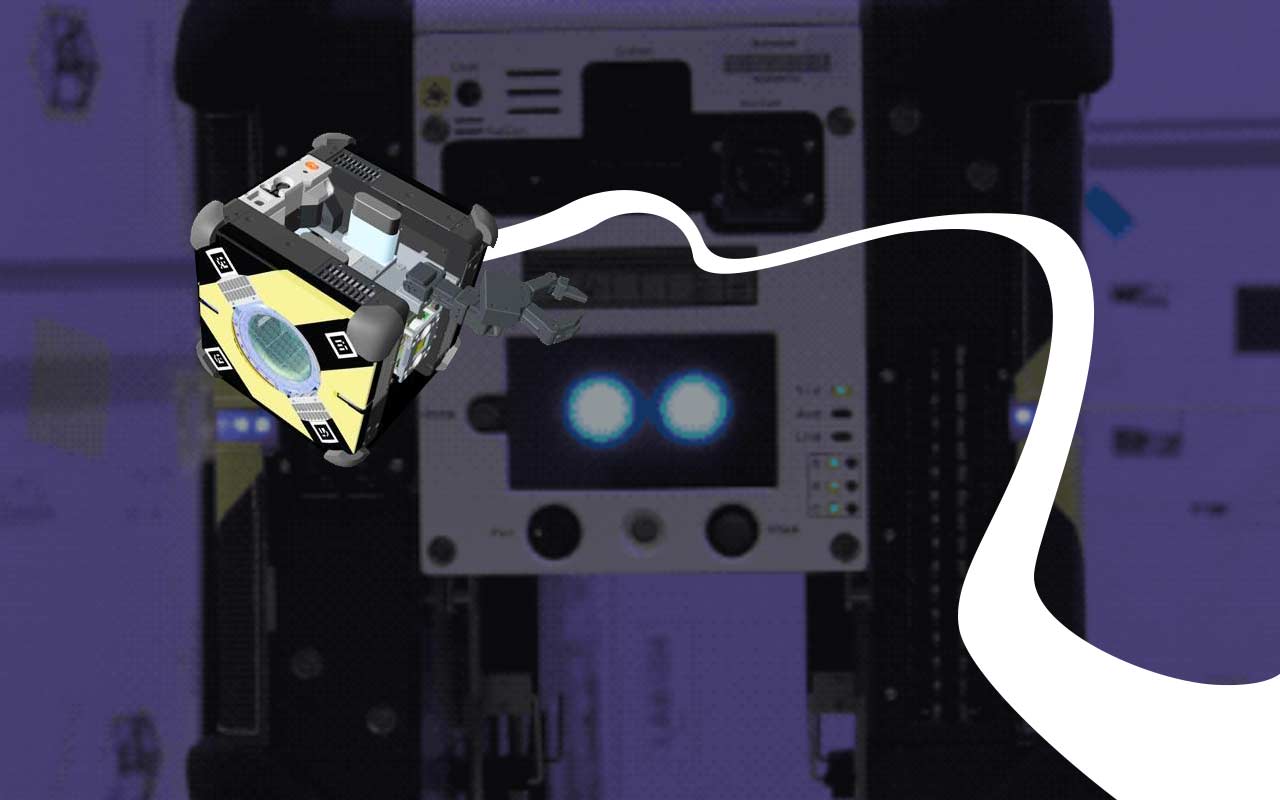 NASA finally launched bees into space - SlashGear