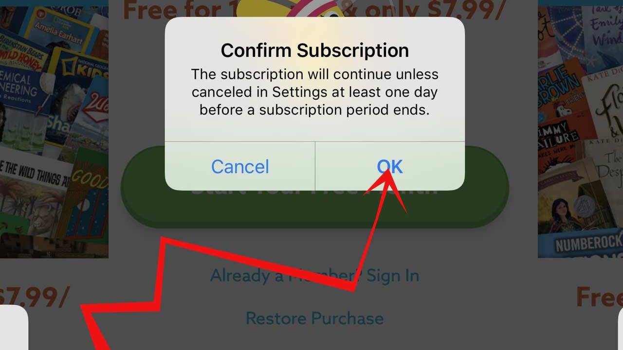 New Apple in-app Confirm Subscription button in play, but why? - SlashGear