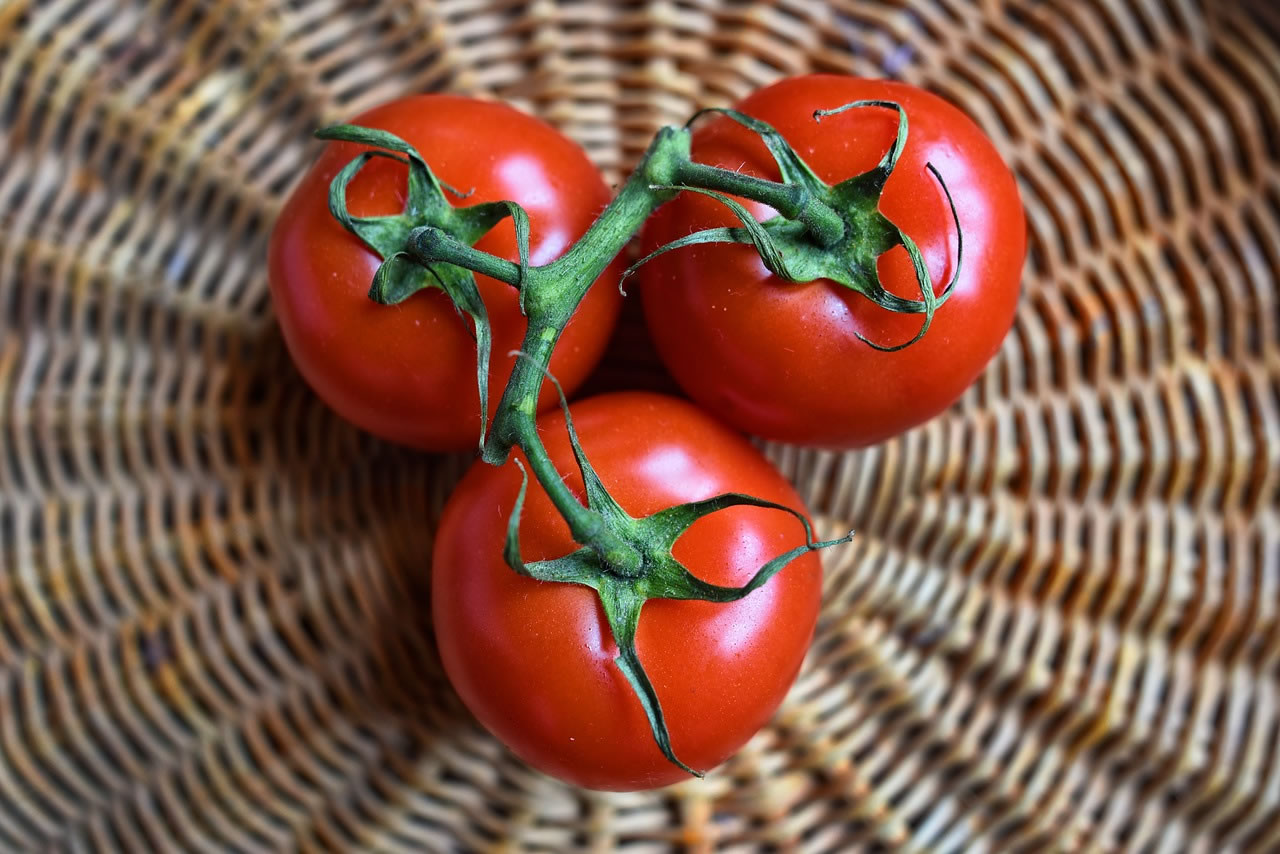 Tomato pan-genome project may improve tomatoes taste - SlashGear