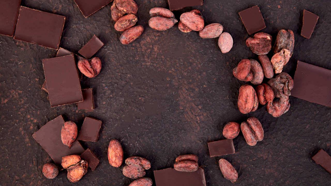 Cocoa and coffee compounds show 'powerful' effects against obesity ...