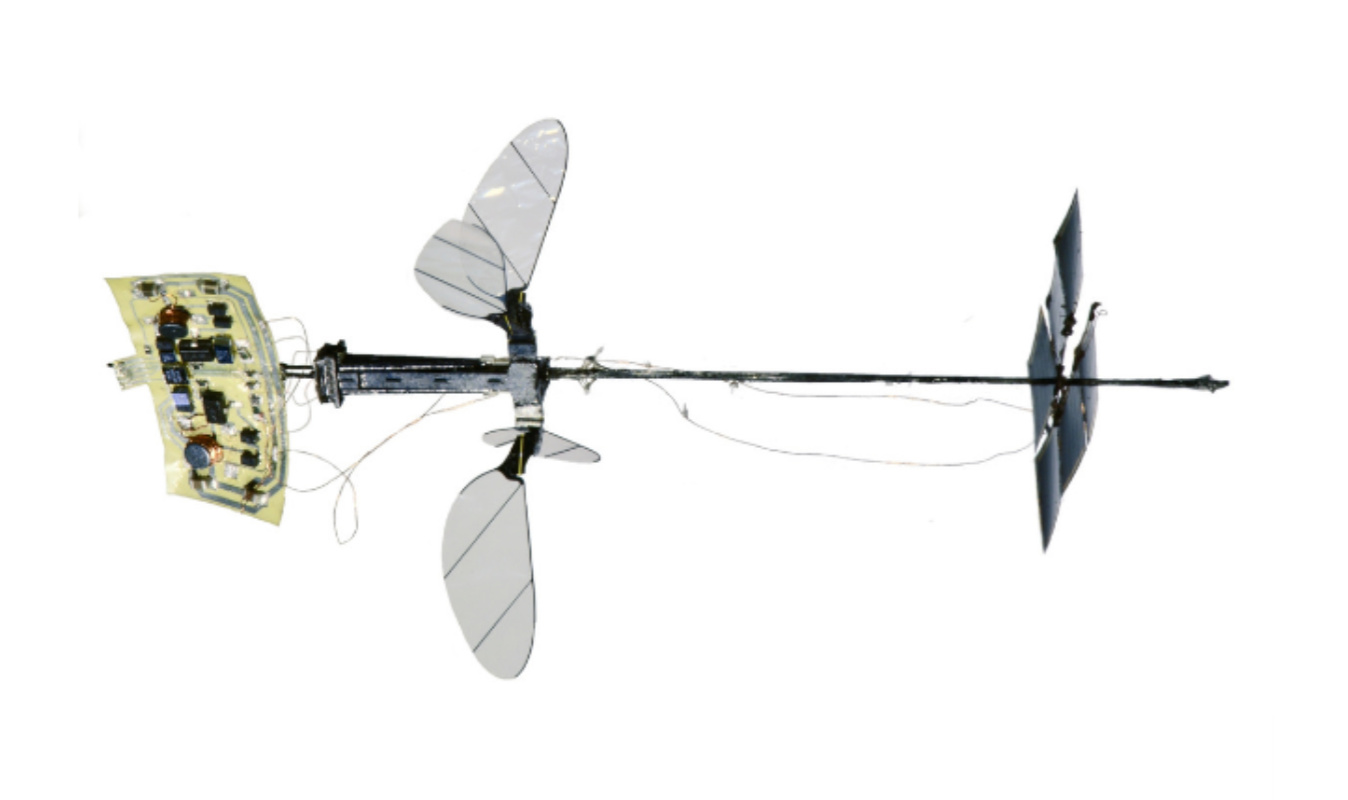 Harvard's insect-like RoboBee achieves major solo flight milestone ...