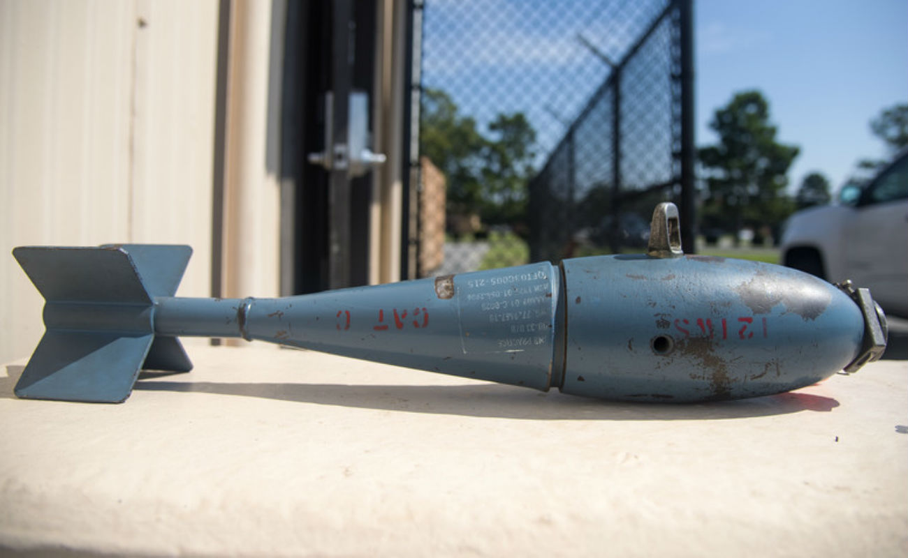 Bird strike caused US Air Force jet to drop fake bombs on Florida ...