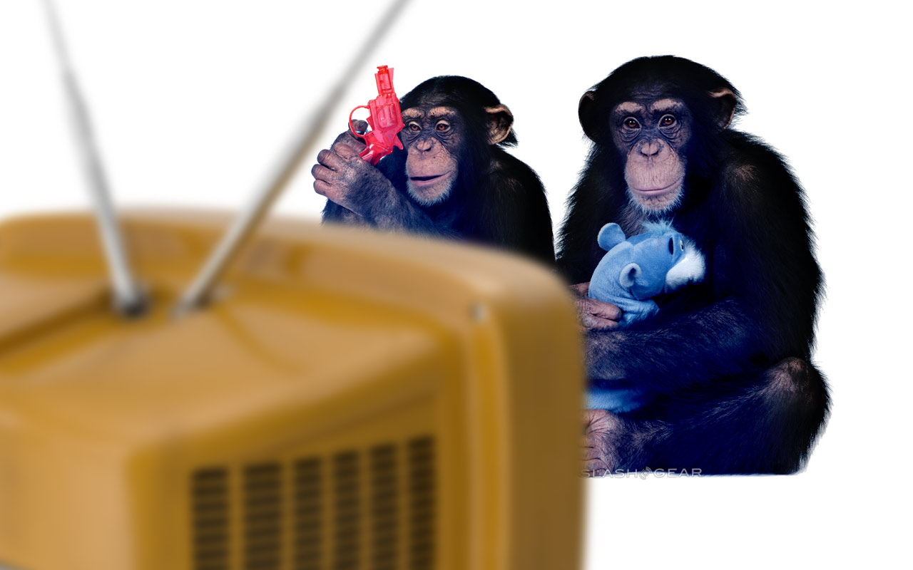 Human test makes chimps watch TV together, chimps become friends ...