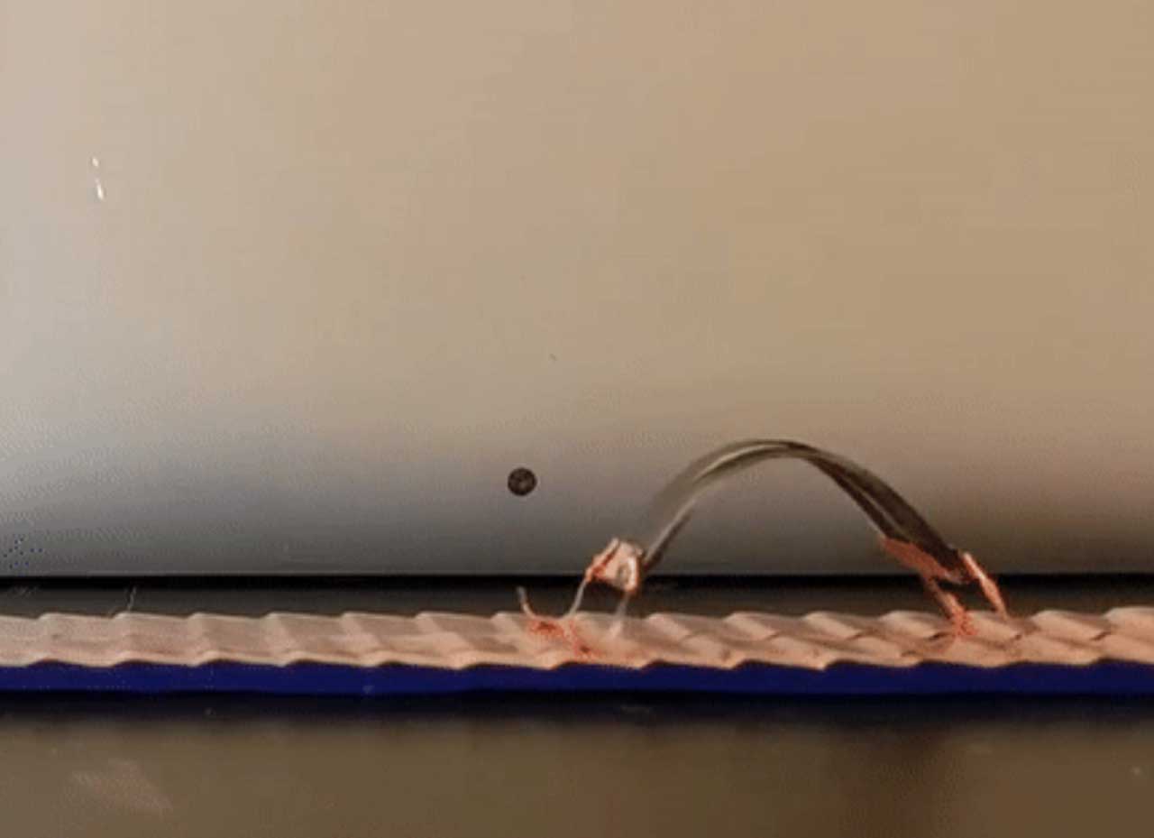 Researchers create a small robot that crawls like an inchworm - SlashGear