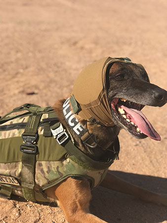US Army combat dogs get special hats to protect their hearing - SlashGear