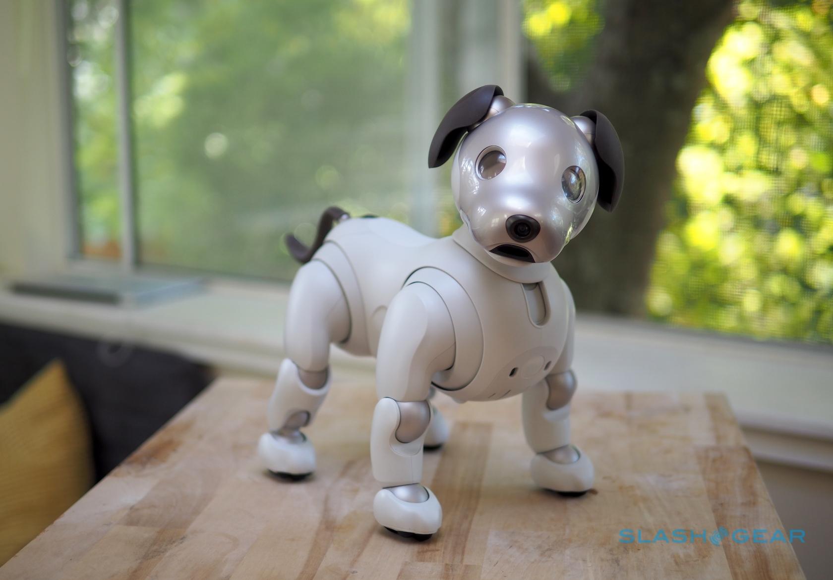 Sony bets on artificial intelligence with new Sony AI global division ...