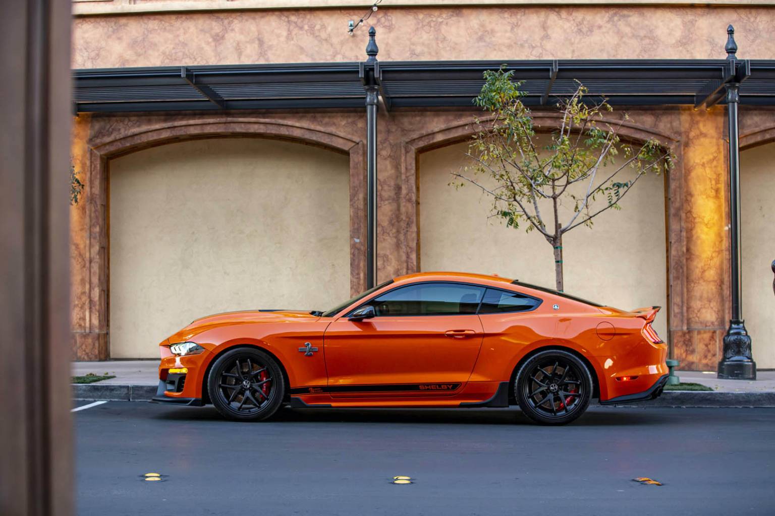 2020 Shelby Super Snake Bold Package adds paint jobs as wild as its ...