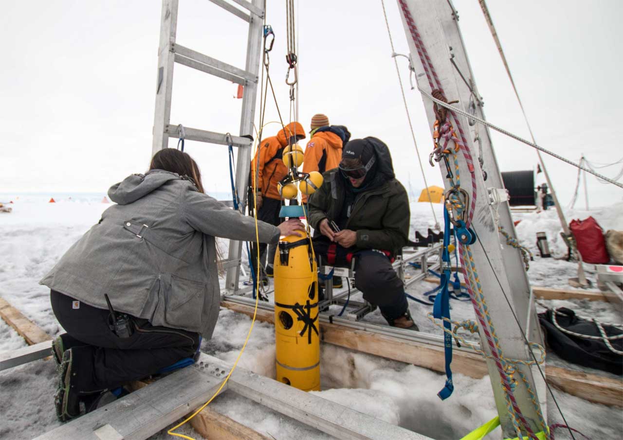 Researchers get a look under Thwaites Glacier using Icefin probe ...