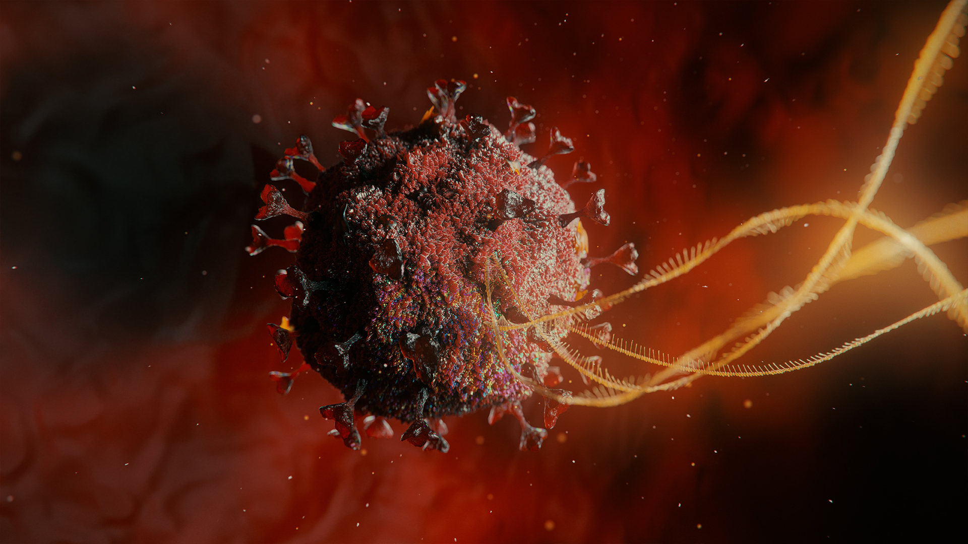 CDC chief drops tough coronavirus truths: Masks, timelines and symptoms ...
