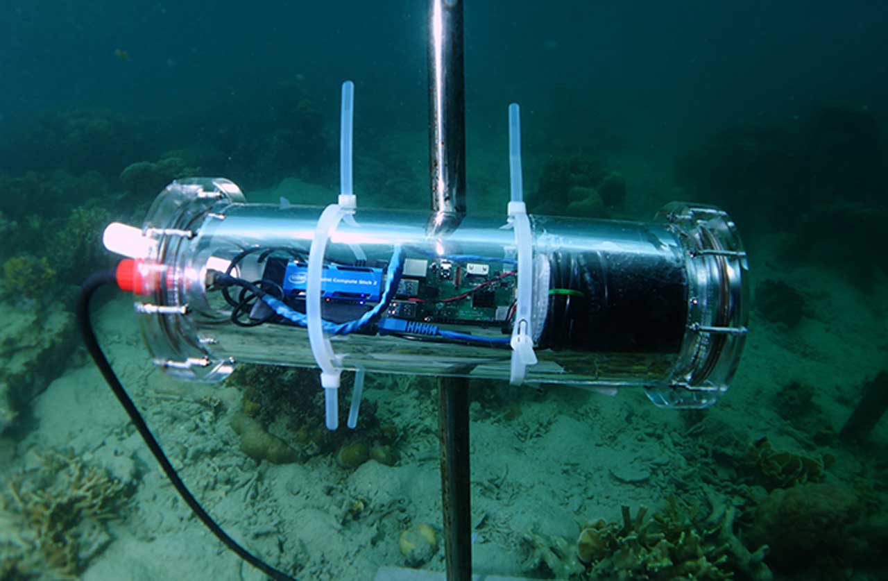 Intel and others use AI-powered solution to monitor coral reef ...