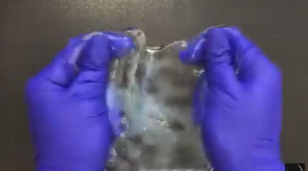 MIT breakthrough makes tissues stretchable and durable - SlashGear