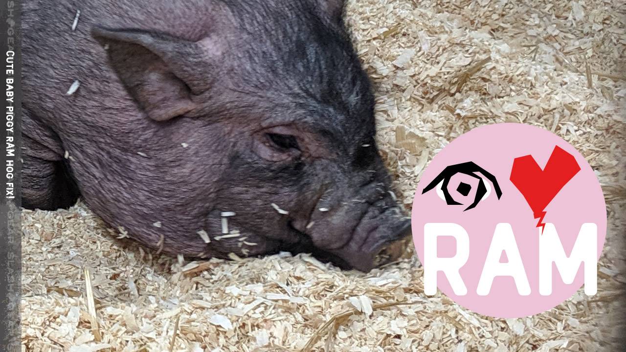 Windows 10 update can chop RAM hog Chrome - SlashGear