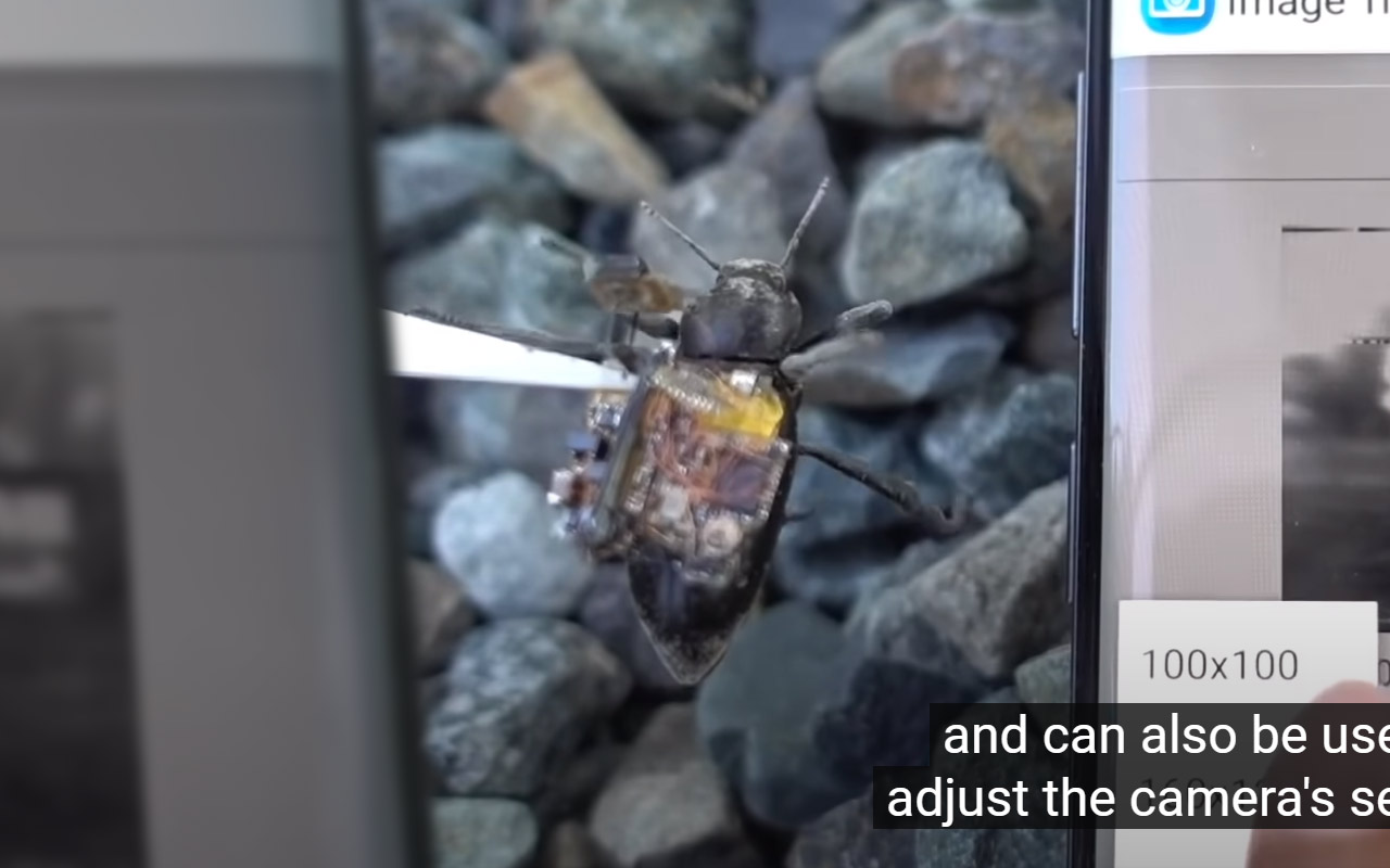 Beetle camera research shows turning tiny head better than whole body ...