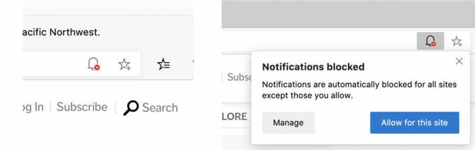 Microsoft Edge makes quiet notification requests the default - SlashGear