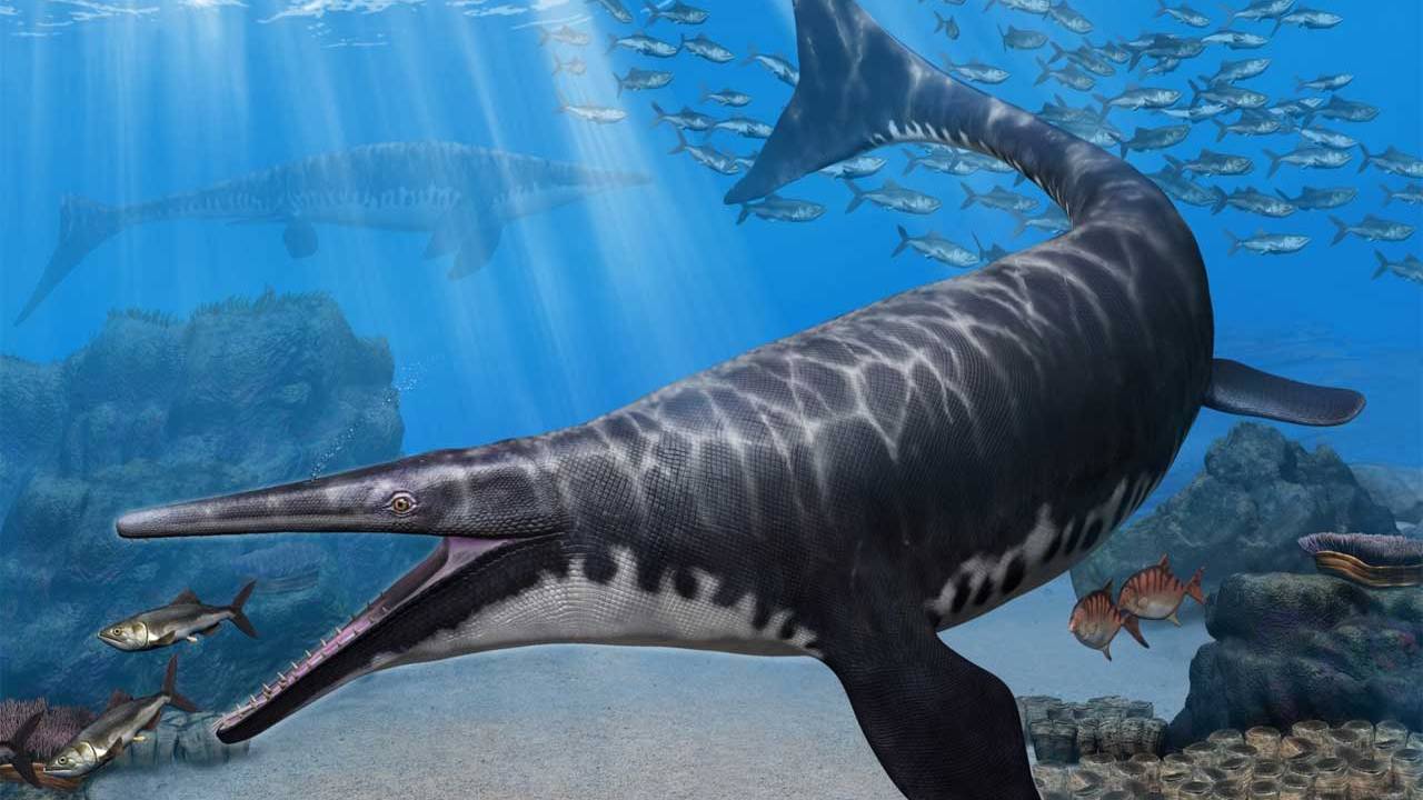 New species of mosasaur discovered in Morocco - SlashGear