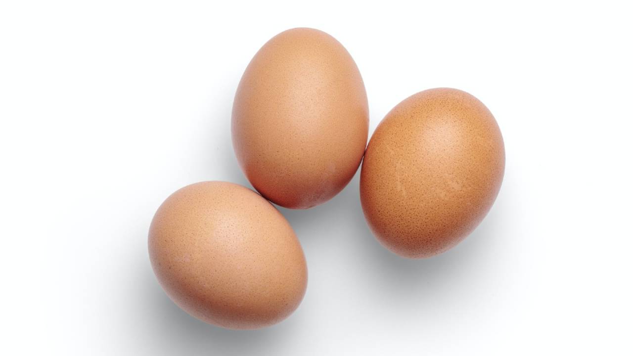 Study finds eating too many eggs may pave the way for diabetes - SlashGear Study finds eating too many eggs may pave the way for diabetes - SlashGear