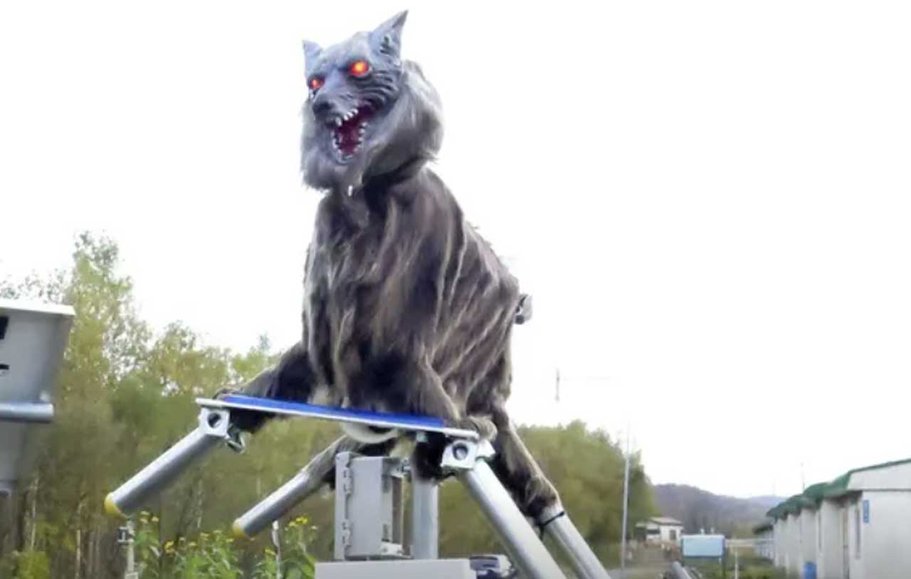 Rural Japanese town relies on robotic wolves to scare away bears ...